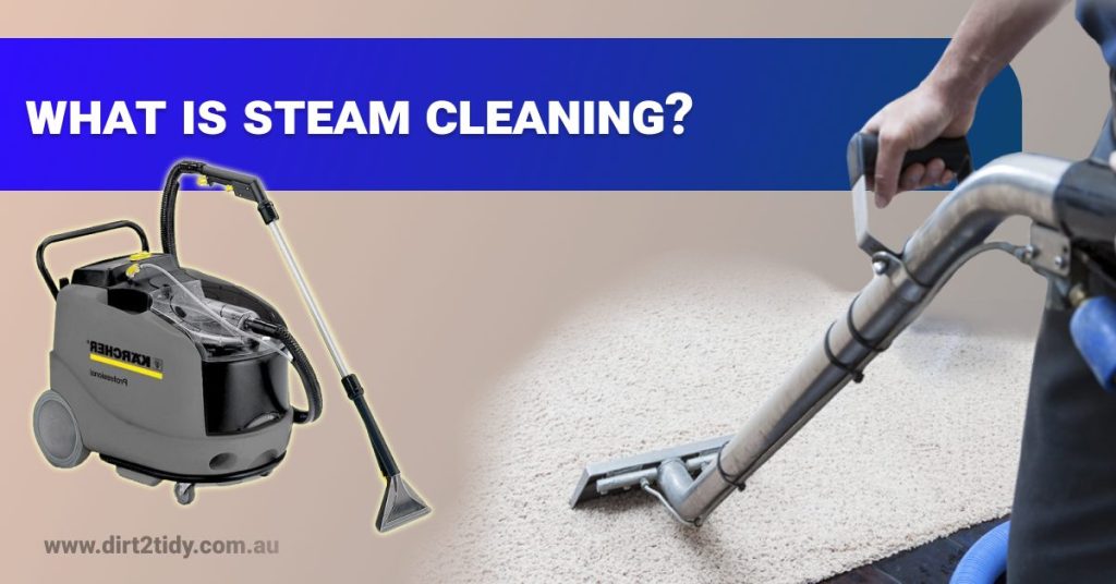 What is steam Cleaning? - Cleaning Tips and Tricks for Every Day Clean ...