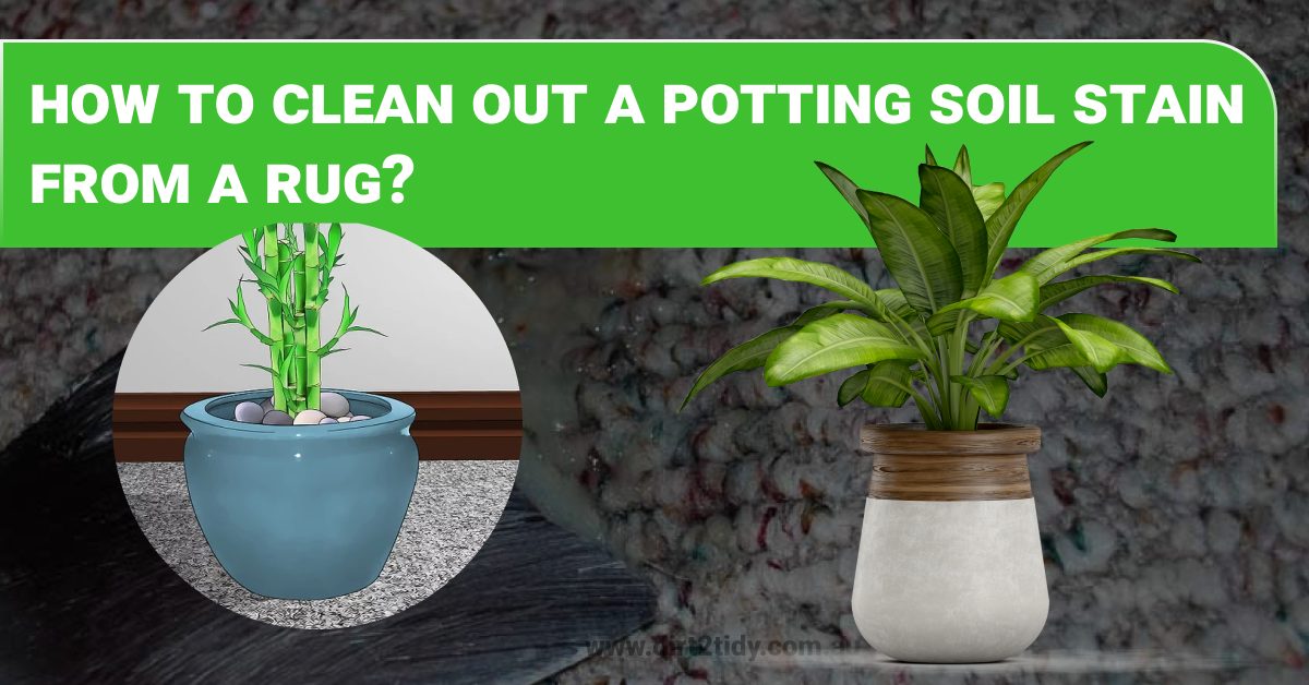 How to clean out a potting soil stain from a rug? - Dirt2tidy