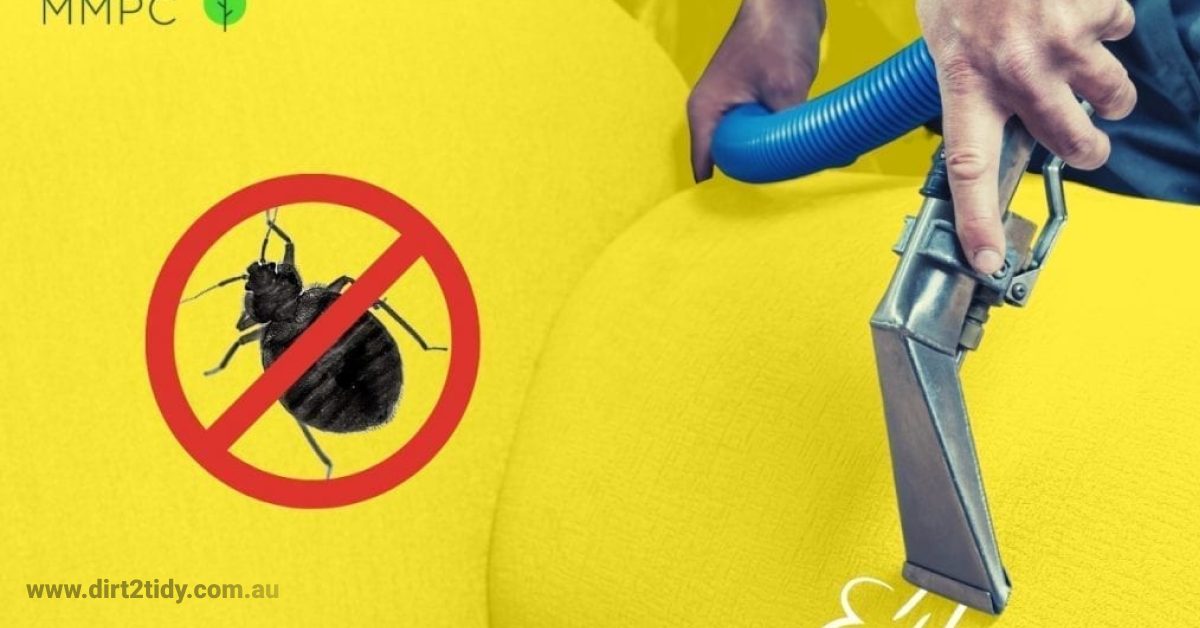 Can I Use A Steam Cleaner To Kill Bed Bugs Cleaning Tips And Tricks