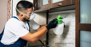 Do we need to leave the house for pest control? | Dirt2Tidy