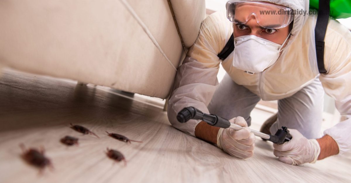 Is it safe to be in a house after pest control? - Cleaning Tips and ...
