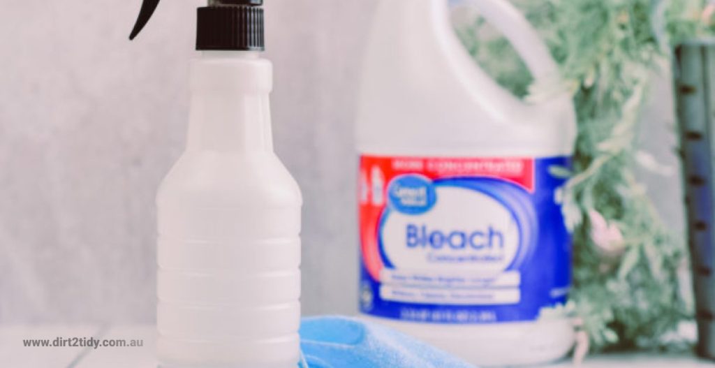 Should You Clean Your Toilet With Bleach? - Dirt2Tidy