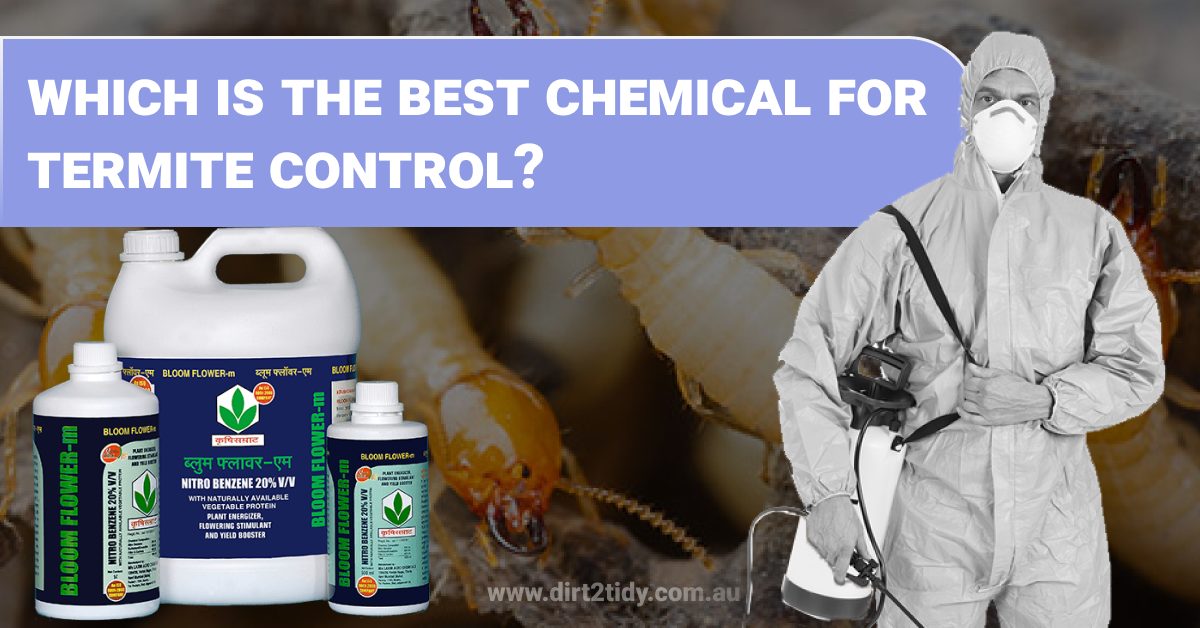 Termite Chemical - Which is the best chemical for termite control?