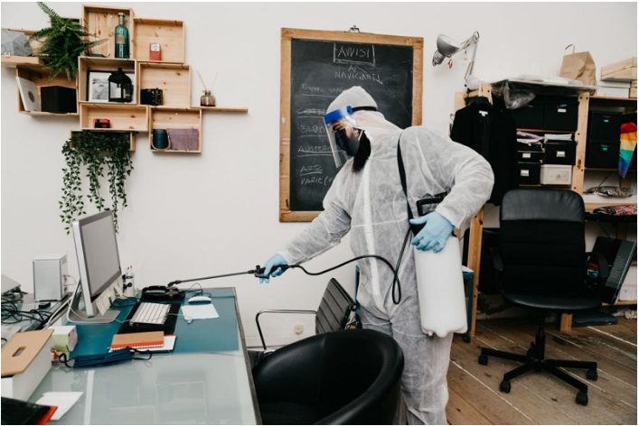 Pest Control Tips That Will Change Your Life | Dirt2Tidy