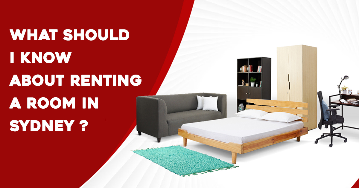 What should I know about renting a room in Sydney? | Dirt2Tidy