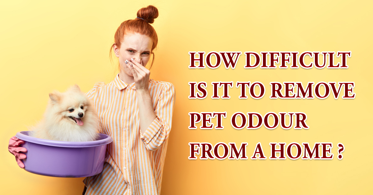 How difficult is it to remove pet odour from a home? - Cleaning Tips ...