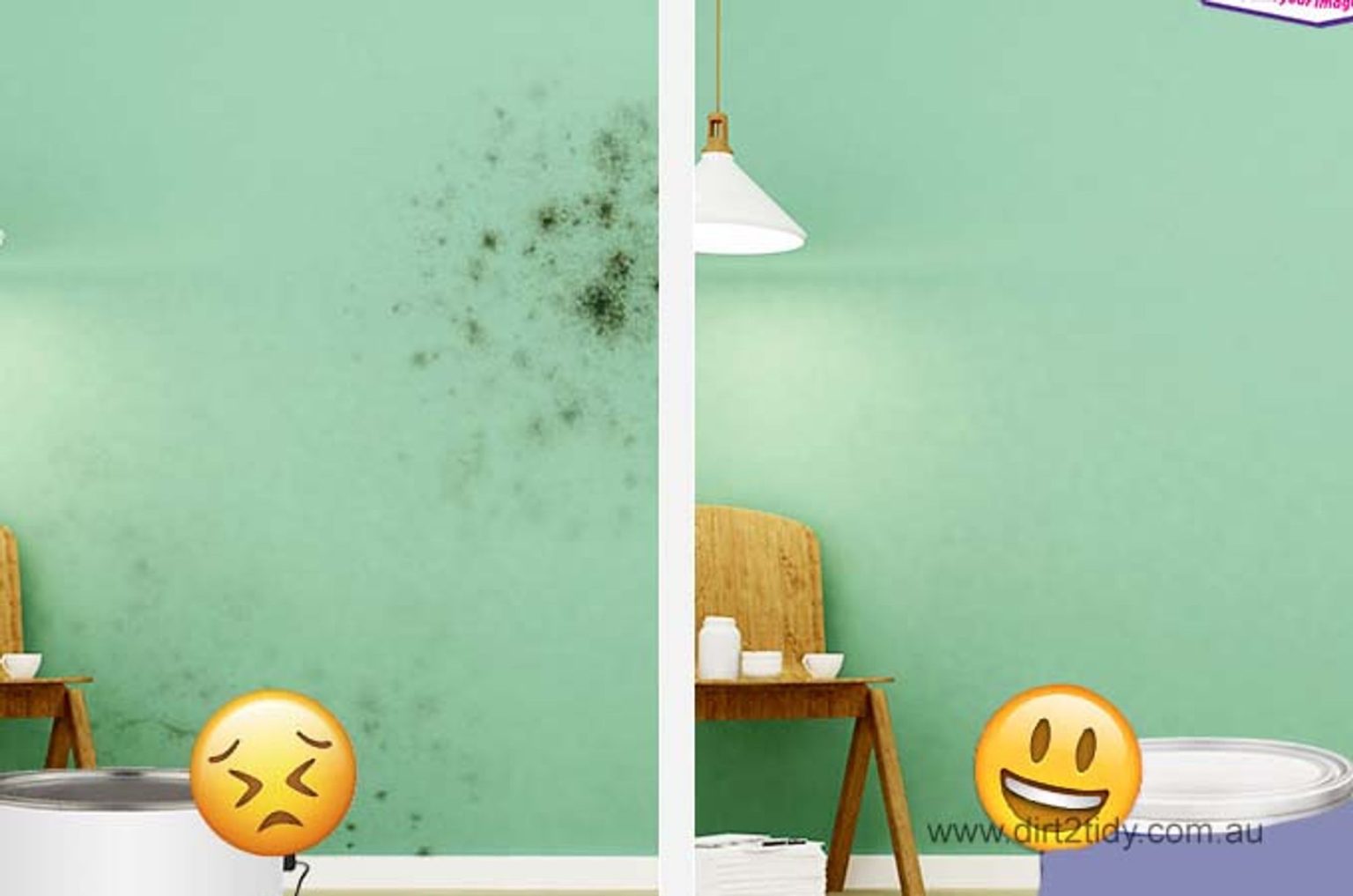 Which paint is good with easy cleaning? - Cleaning Tips and Tricks for ...