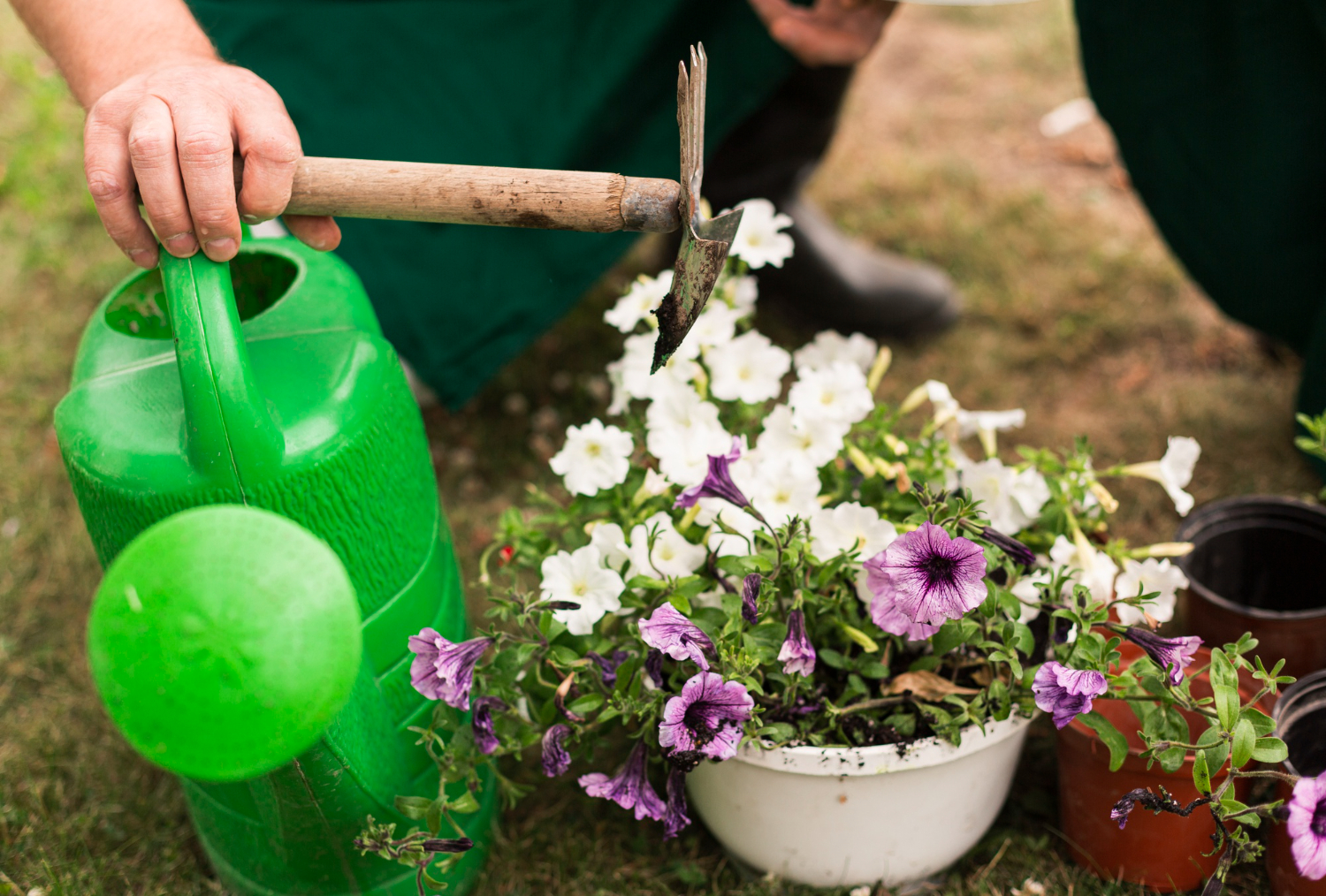 Get Your Garden Ready For Spring: 5 Simple Steps You Can Take Now