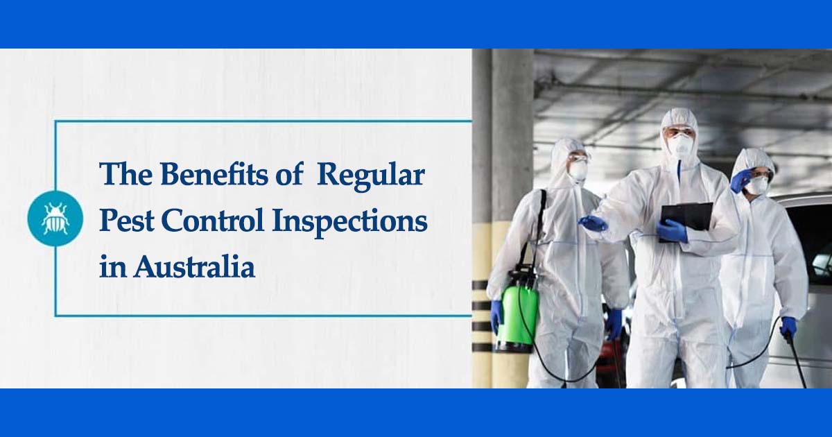 Benefits of Regular Pest Control Inspections in Australia