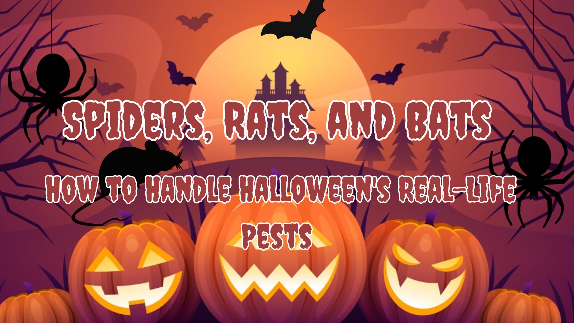 How to Handle Halloween's Real-Life Pests | Dirt2Tidy Professional