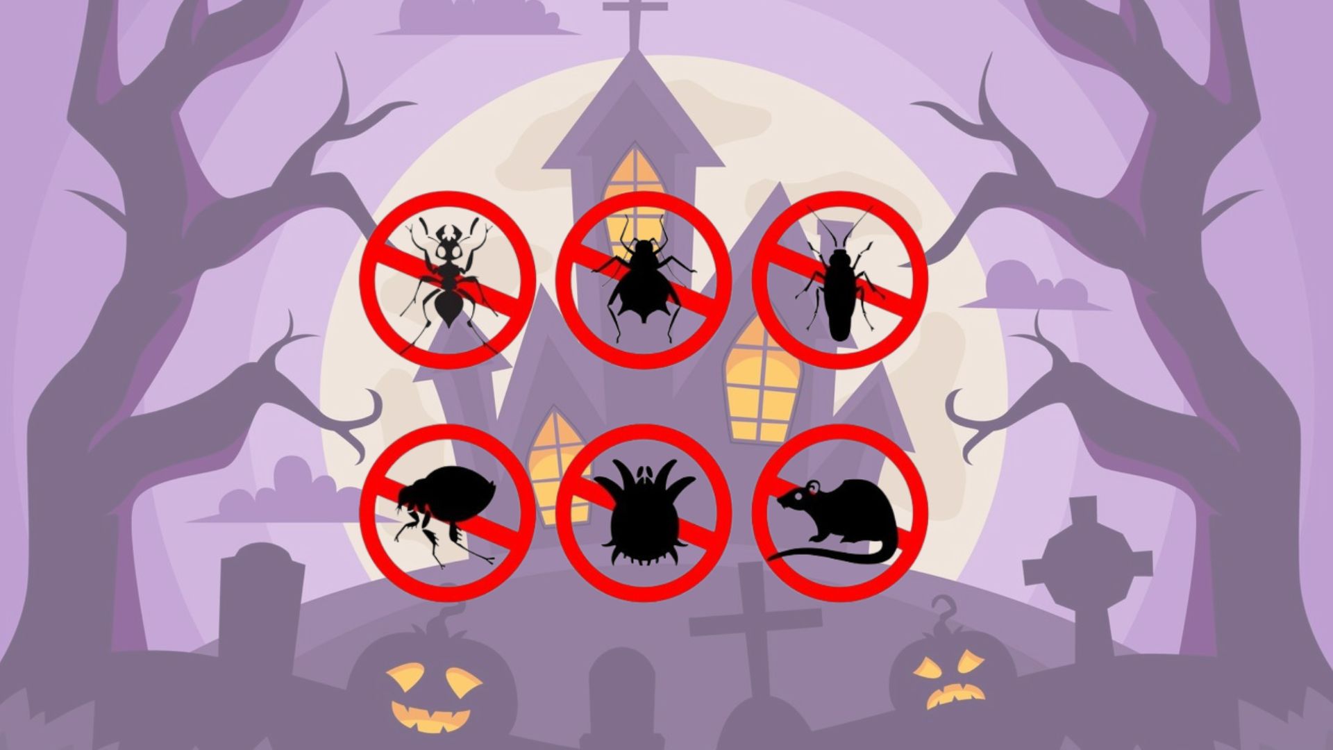 Zombie Bugs and Spooky Pests: How to Safeguard Your Home for Halloween