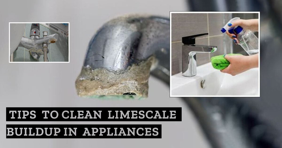 Tips to Clean Limescale Buildup in Appliances - Cleaning Tips and ...