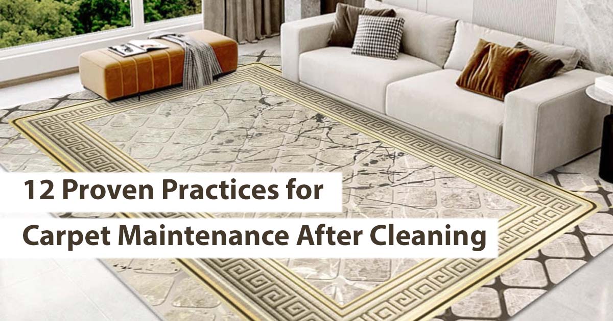 12 Proven Practices for Carpet Maintenance After Cleaning |dirt2tidy