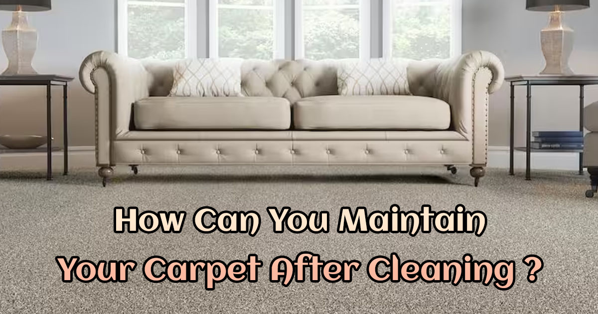 How to Maintain Your Carpet After Cleaning | Dirt2tidy
