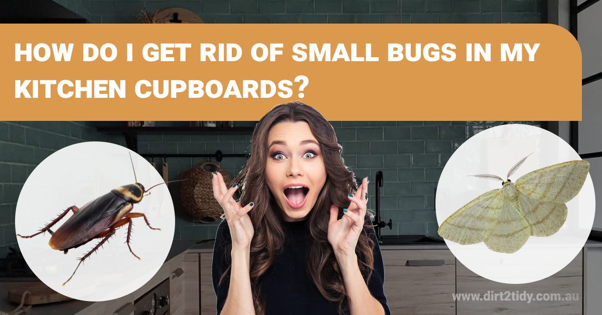 How Do I Get Rid Of Small Bugs In My Kitchen Cupboards?