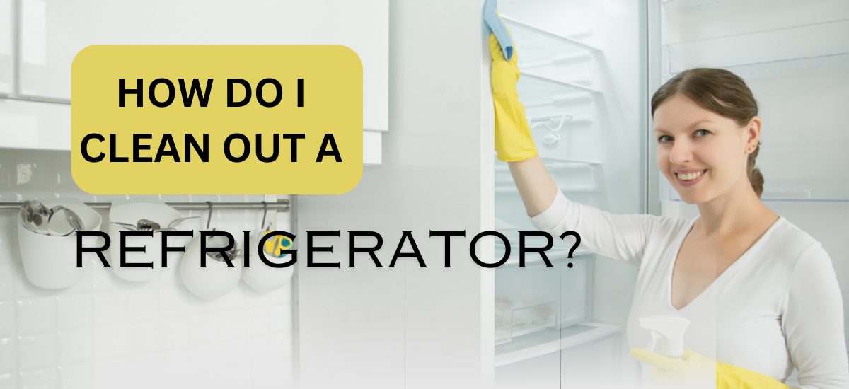 How Do I Clean Out A Refrigerator? | Dirt2Tidy