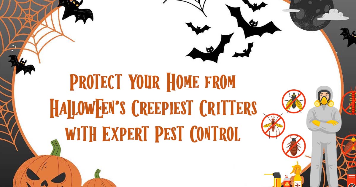 Halloween’s Creepiest Critters With Expert Pest Control |D2T