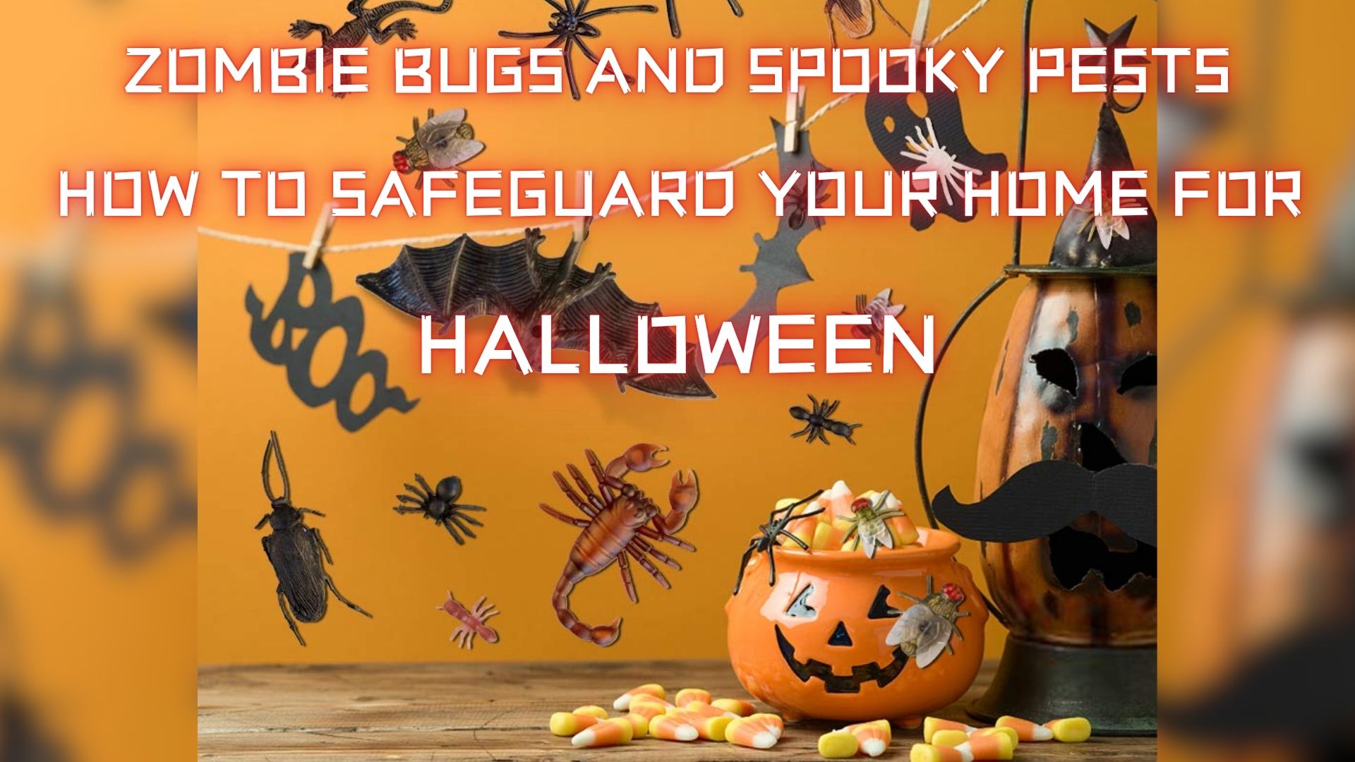 Zombie Bugs And Spooky Pests: How To Safeguard Your Home For Halloween